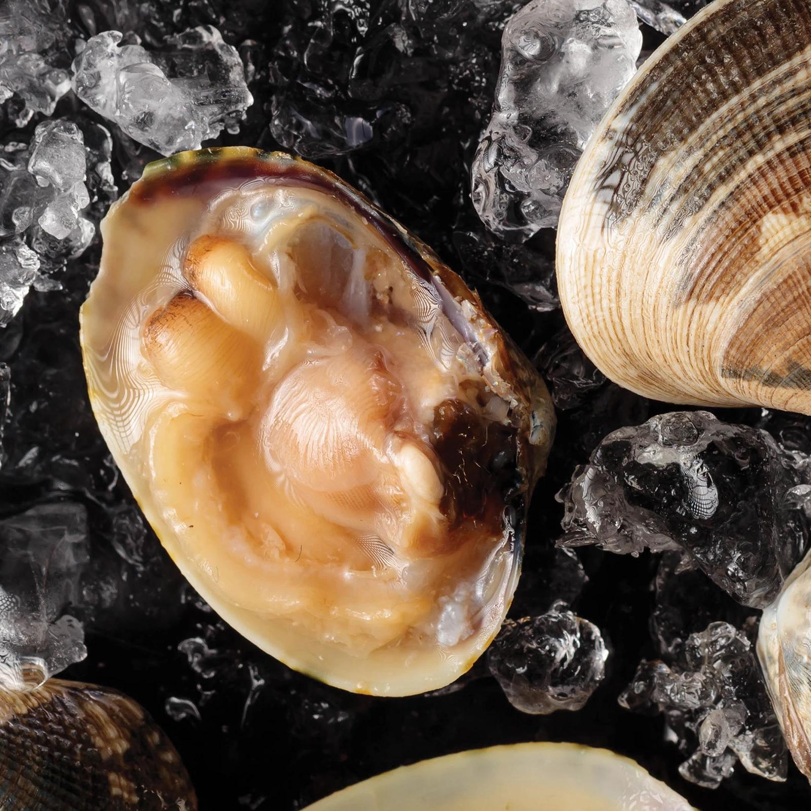 Fresh Clams & Mussels Delivery | Omaha Steaks